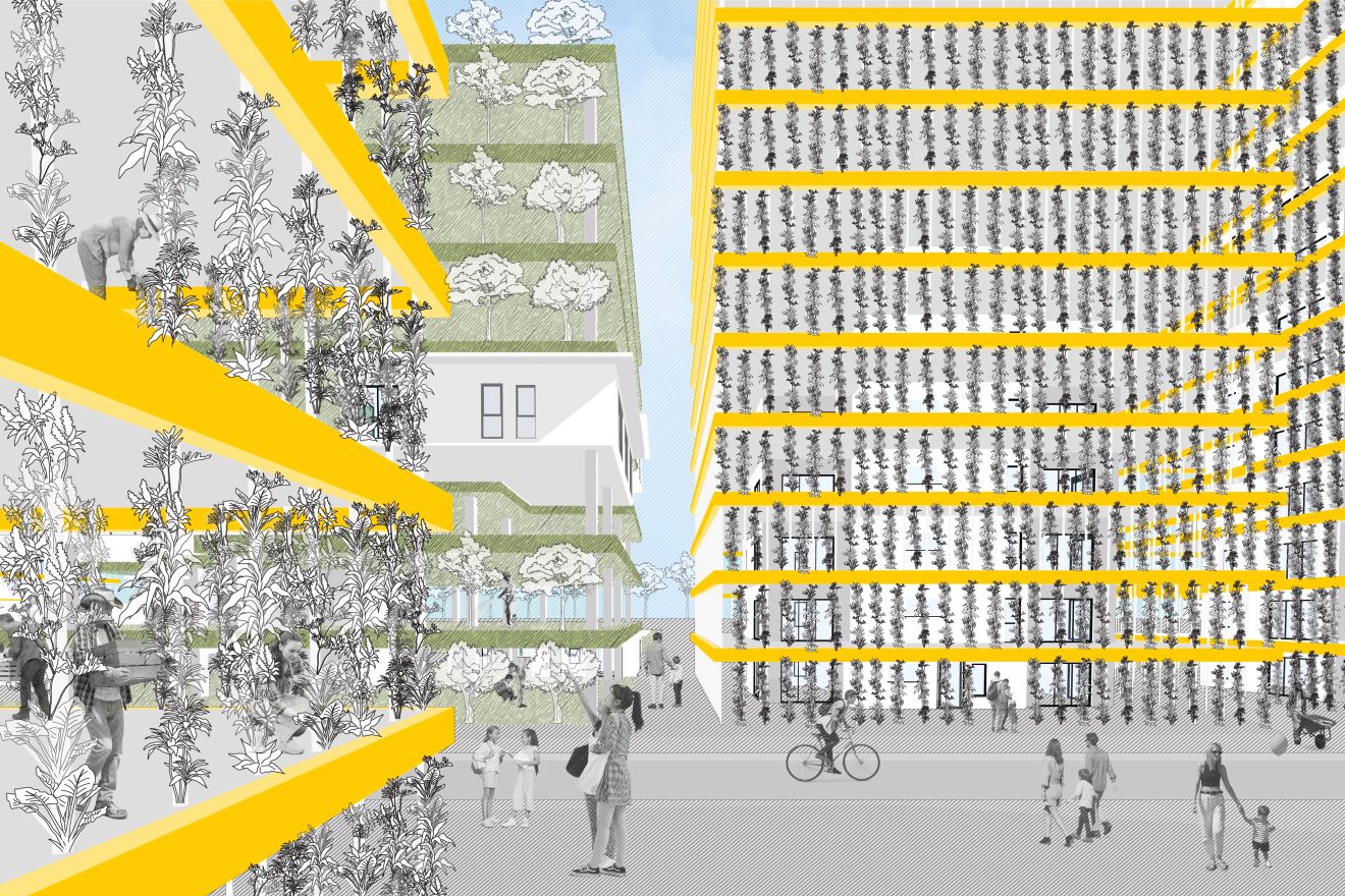 Index of /wp-content/uploads/2025/01